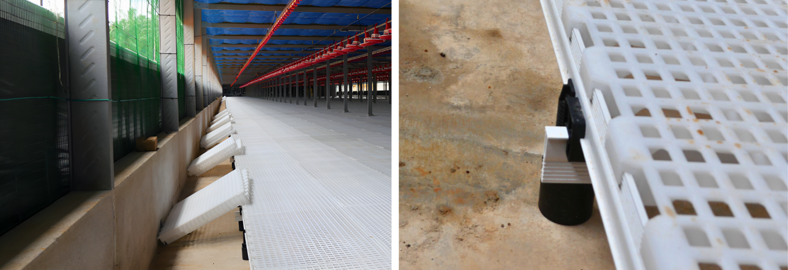 Floor System - Pristine Glory