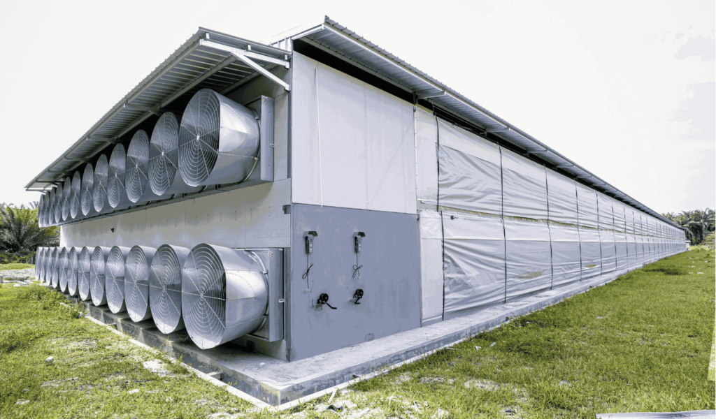 About Us - Pristine Glory