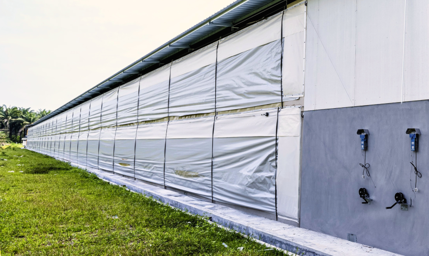 Products - Pristine Glory