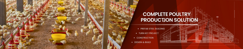 Products - Pristine Glory