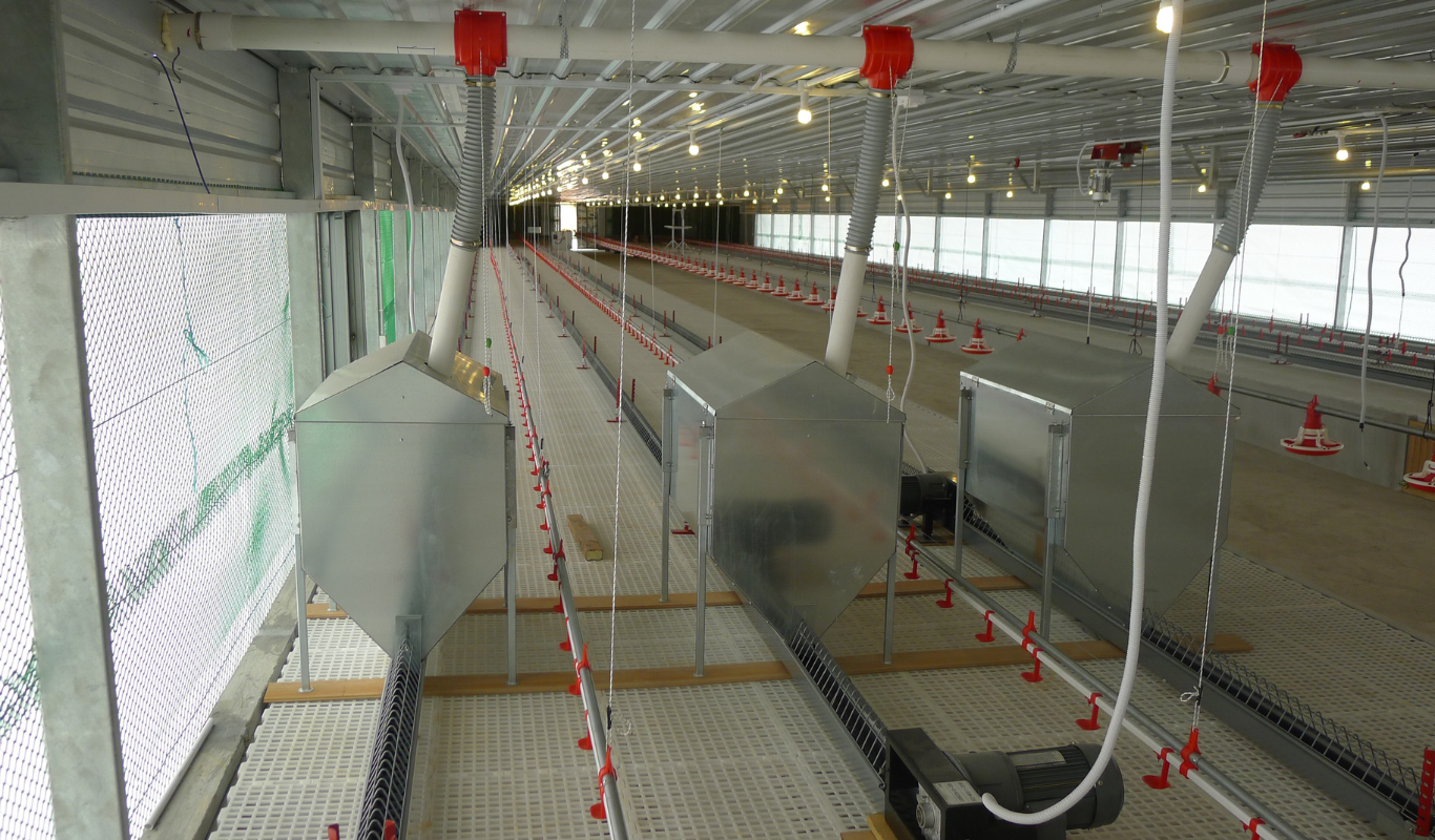 Products - Pristine Glory