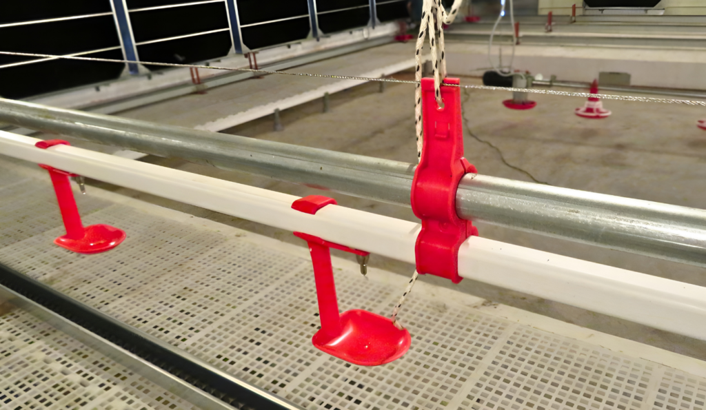 Products - Pristine Glory