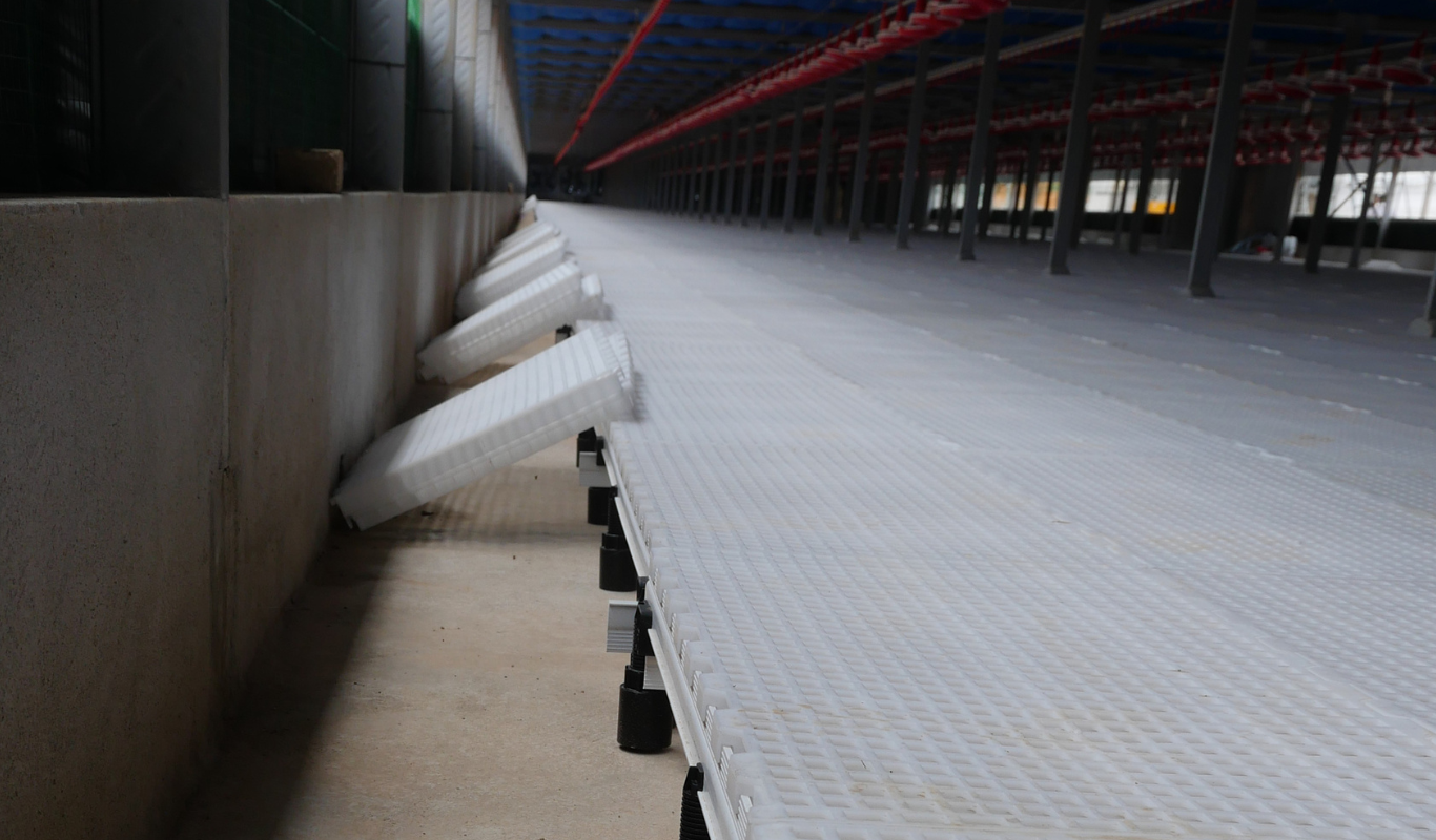 Products - Pristine Glory