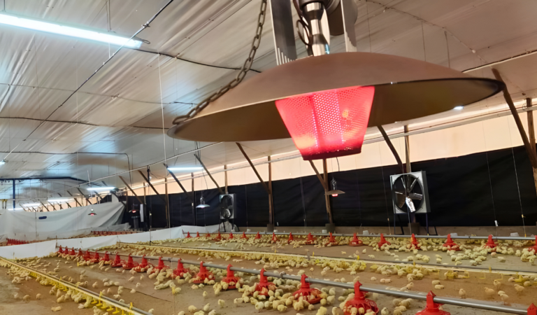 Products - Pristine Glory