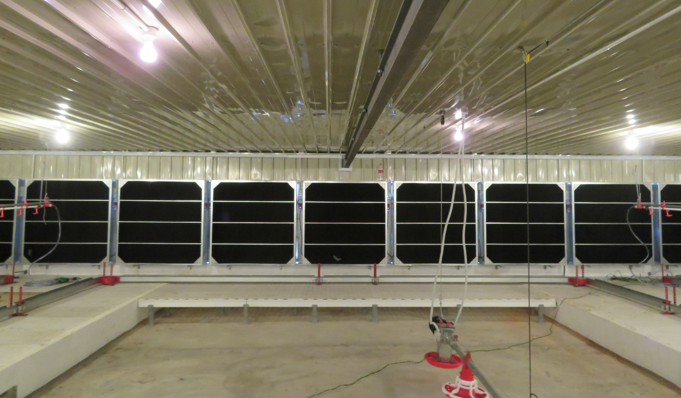 Products - Pristine Glory