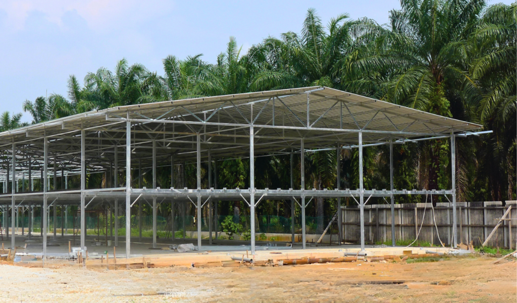 Products - Pristine Glory