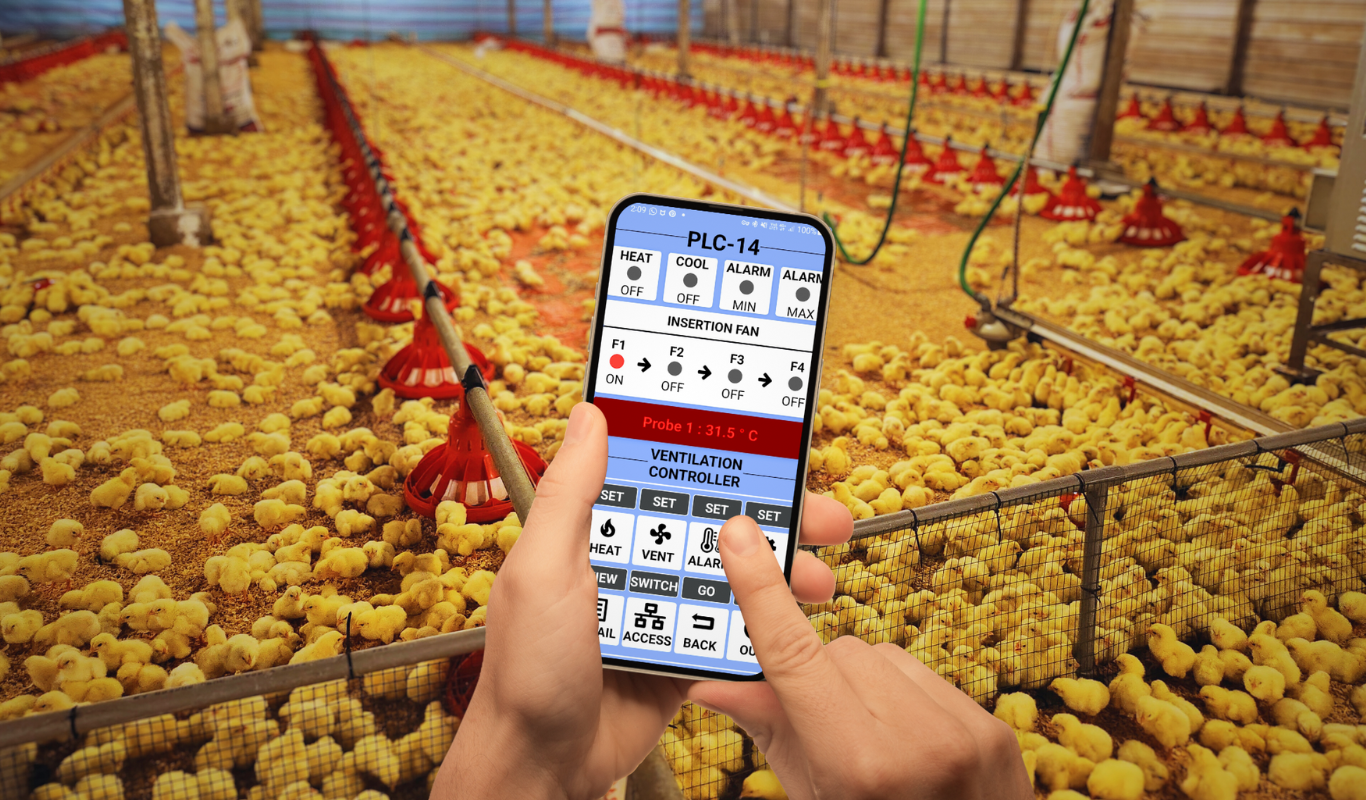 Products - Pristine Glory