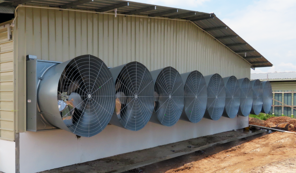 Products - Pristine Glory