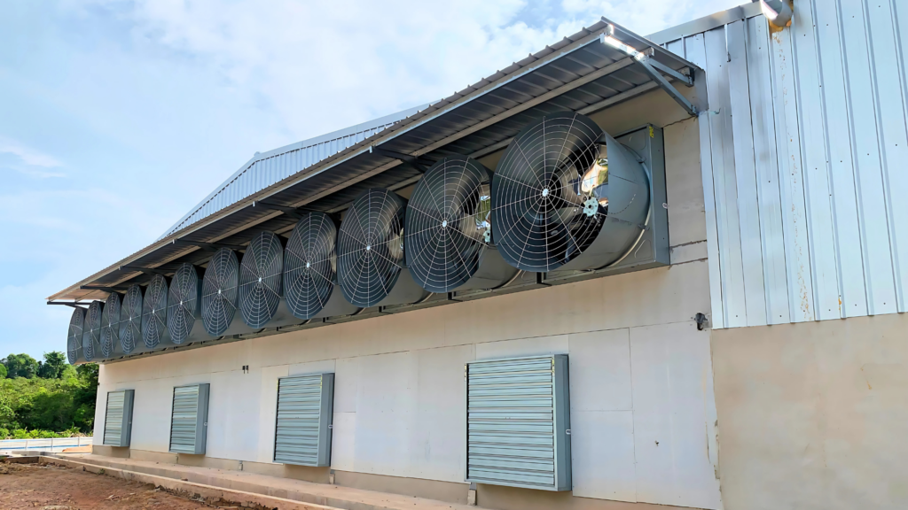 Products - Pristine Glory