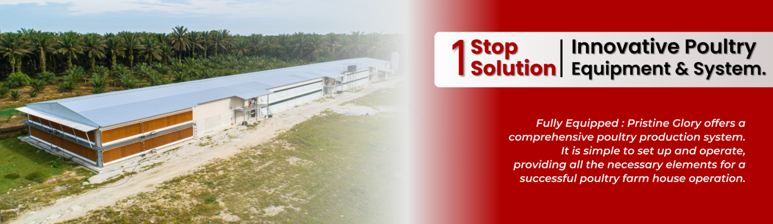 Gallery - Pristine Glory